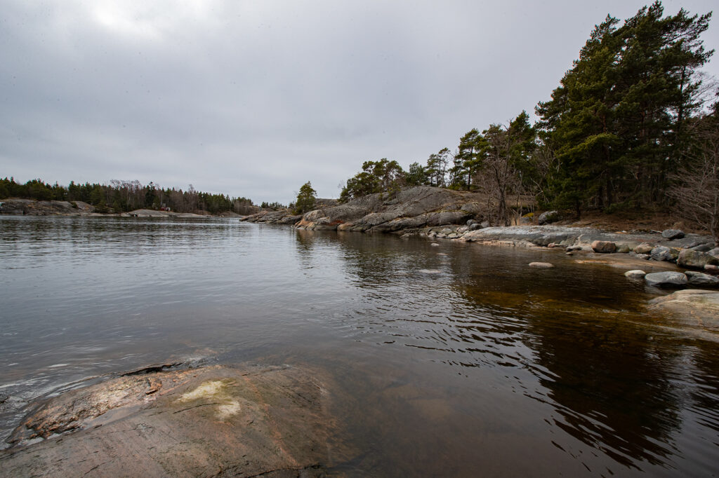 Siian onginta – onnistunut kauden avaus merellä - Metsästys ja Kalastus